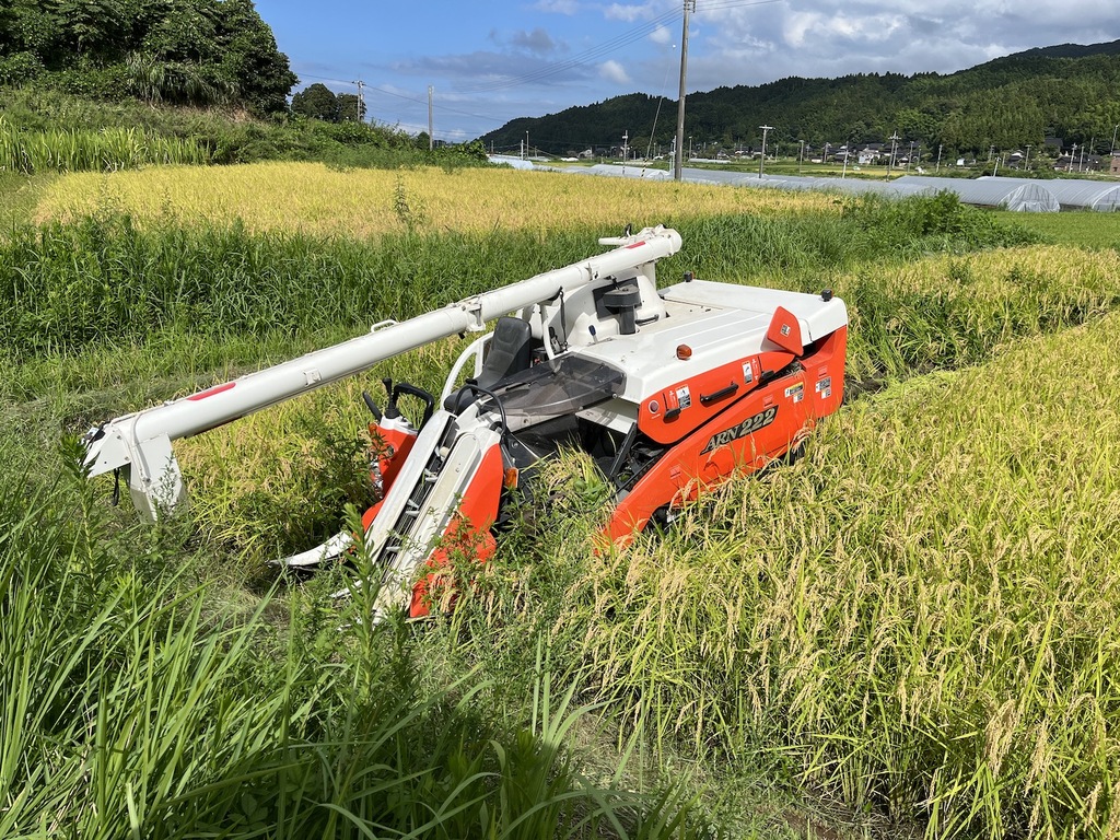 ARN222君、遂にハマる - 輪島 太左衛門